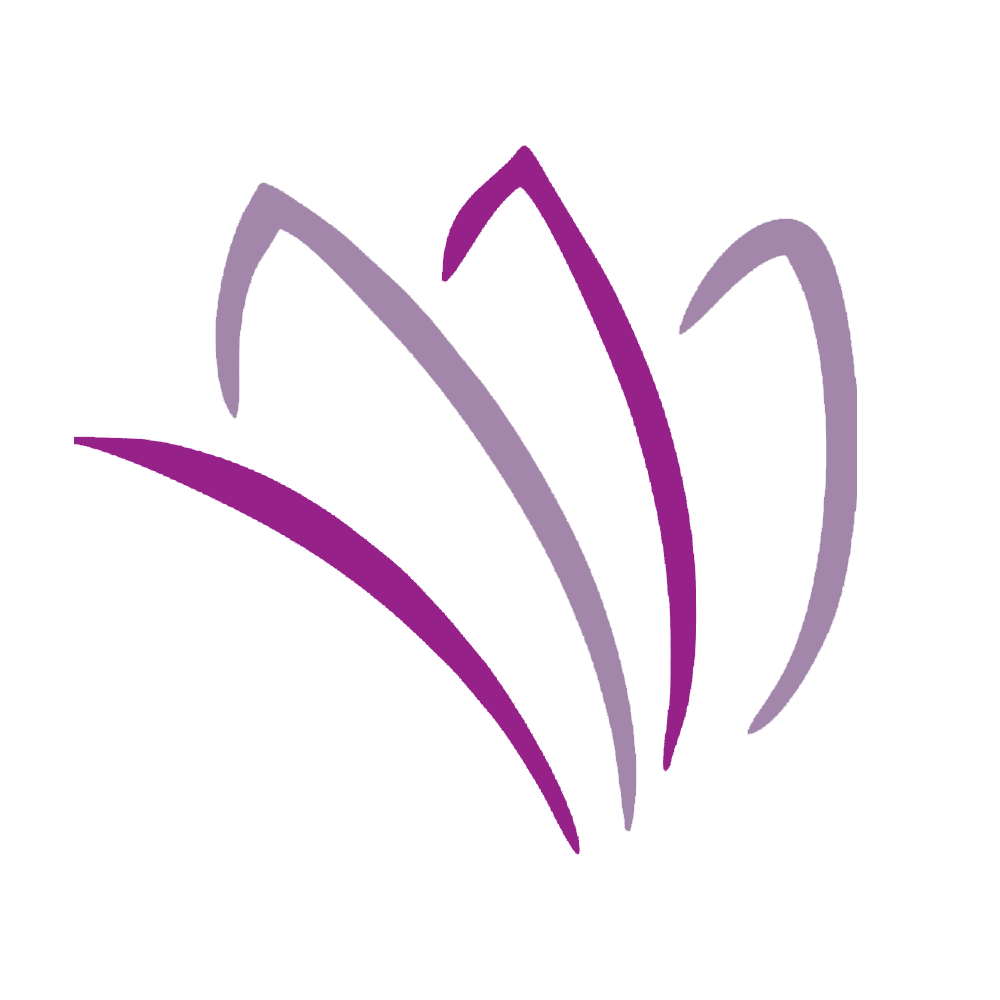 Lotus Beta Analytics